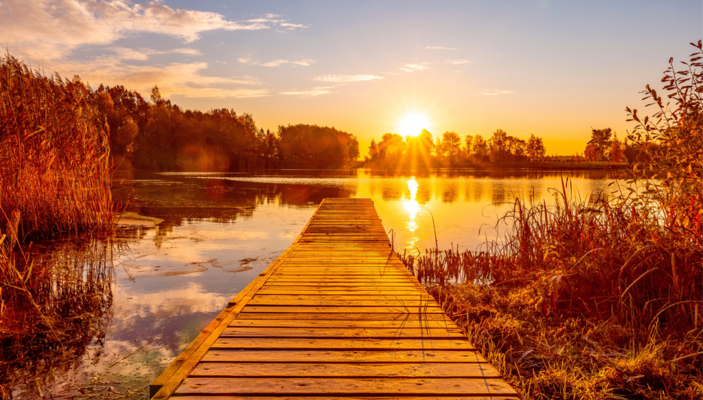 In-person & Online Grief Counseling Washington DC | Dr. Alex Afram